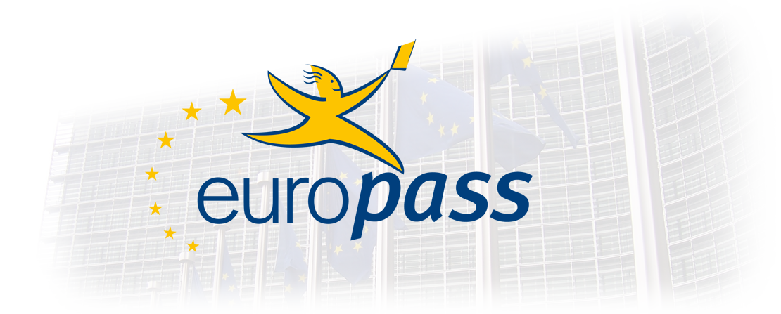 Support and promotion